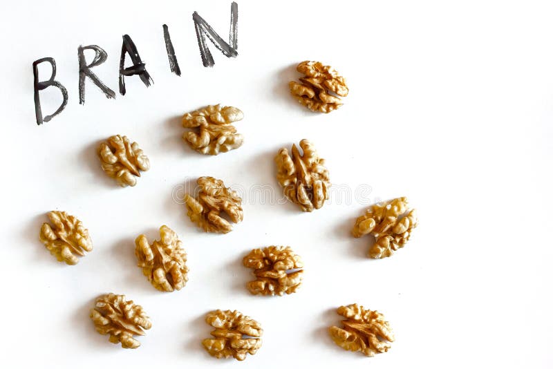 Brain and Nuts on a White Background, Healthy Eating Concept Stock ...