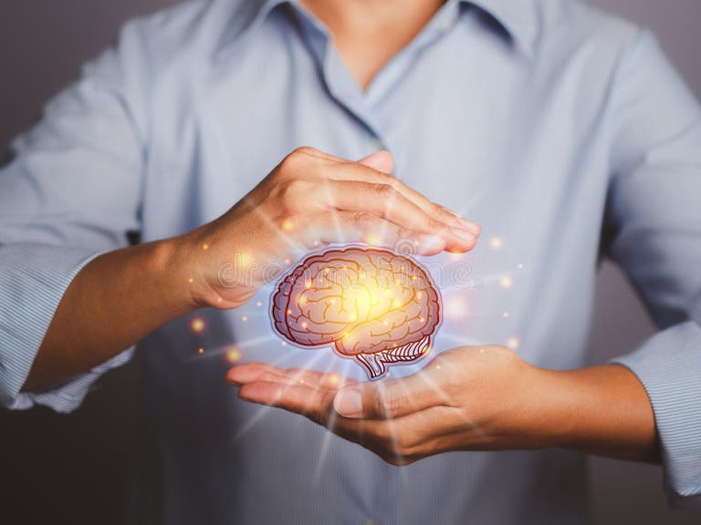 The Brain on the Palm. Deep Learning Stock Photo - Image of human ...
