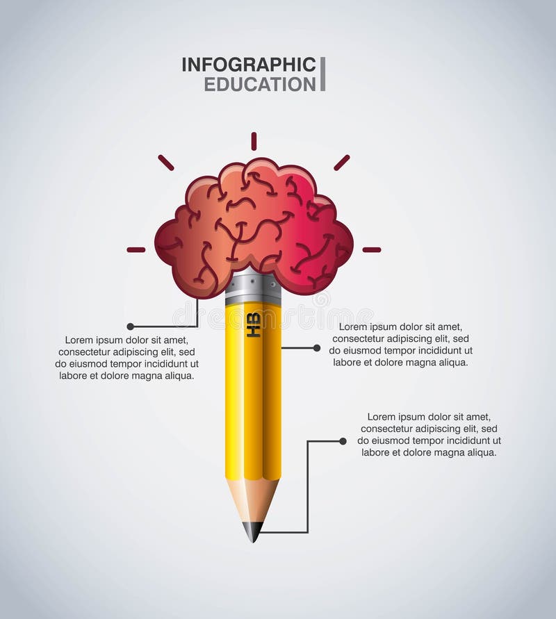 Brain and Pencil Icon. Infographic Education Design. Vector Grap Stock ...