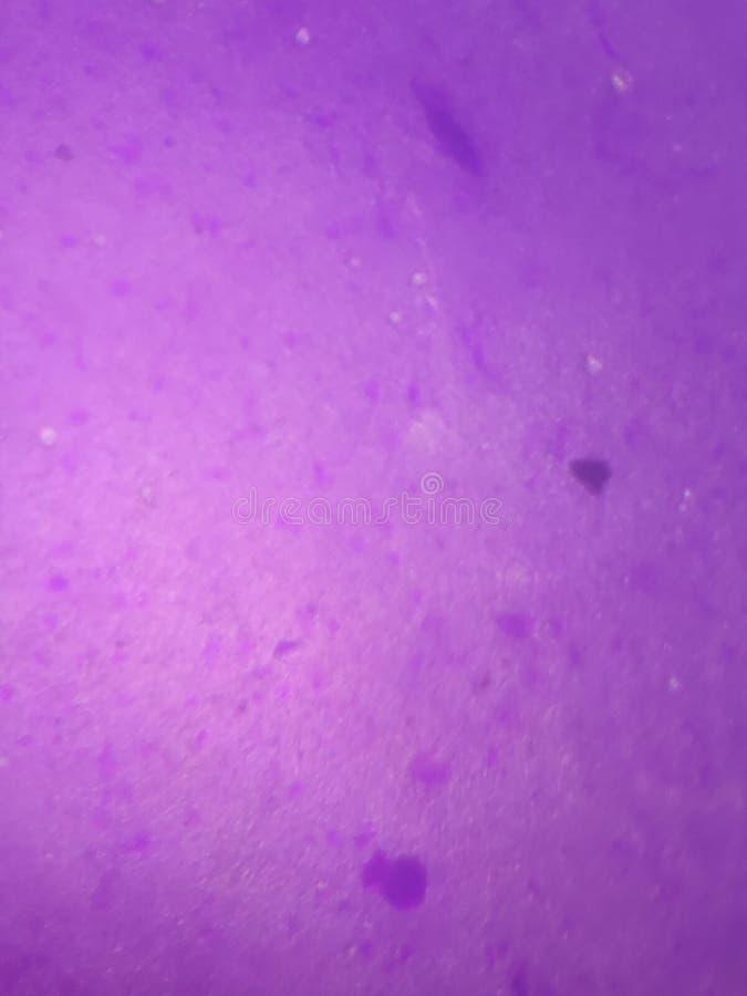 The Brain of a Pig Under the Microscope Stock Image - Image of tissue ...