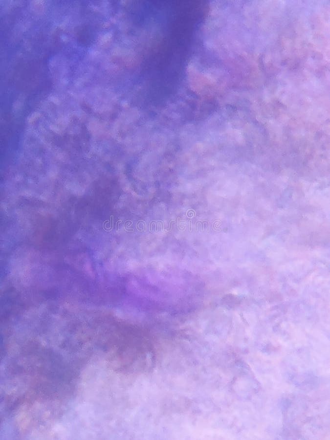 The Brain of a Pig Under the Microscope Stock Photo - Image of ...