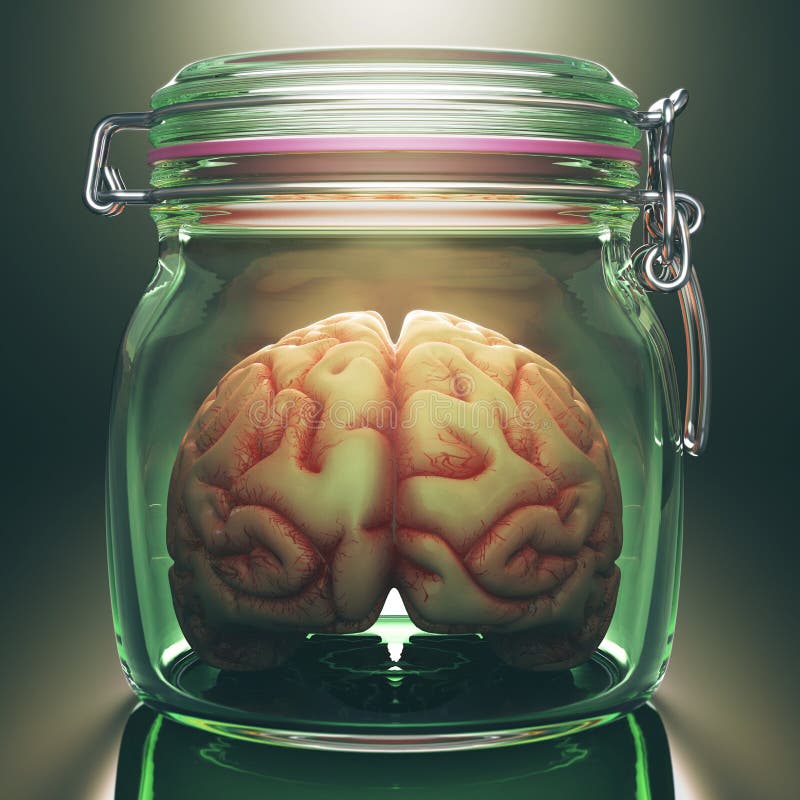 Brain in the Pot stock illustration. Illustration of knowledge - 71687910