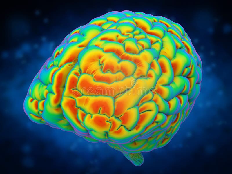 Human with shiny brain stock illustration. Illustration of cerebellum ...