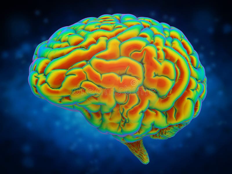 Human with shiny brain stock illustration. Illustration of cerebellum ...