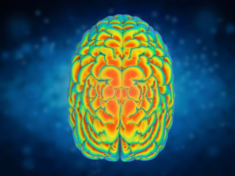 Human with shiny brain stock illustration. Illustration of cerebellum ...