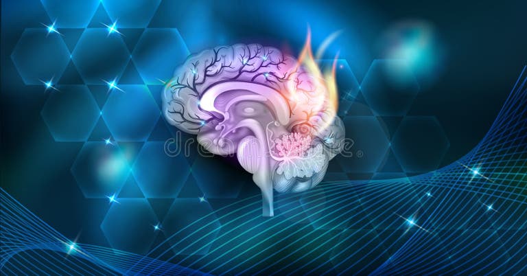 Problems Brain Stock Illustrations – 8,388 Problems Brain Stock ...