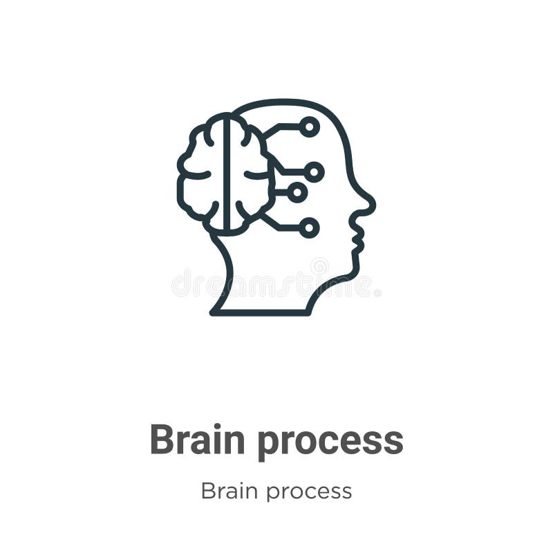 Brain Outline Vector Icon. Thin Line Black Brain Icon, Flat Vector ...