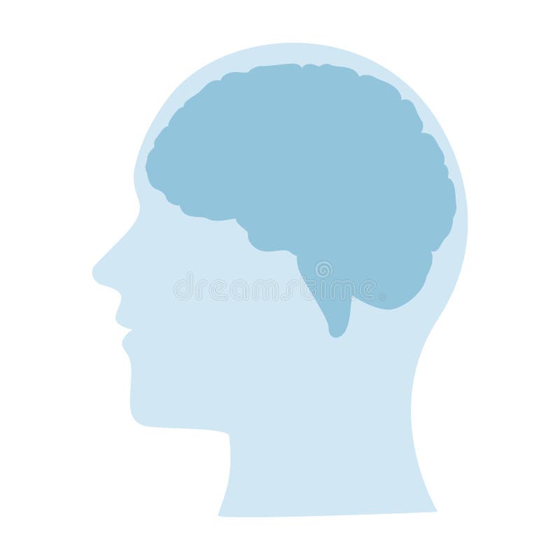 Brain in profile stock vector. Illustration of design - 217106893