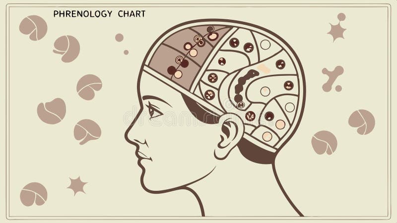 Function Diagram Vector Cartoon Stock Illustrations – 1,203 Function ...