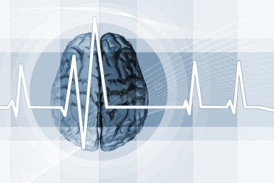 Brain Pulse stock illustration. Illustration of sine, artwork - 6585718