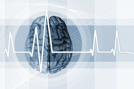 Brain Pulse stock illustration. Illustration of sine, artwork - 6585718