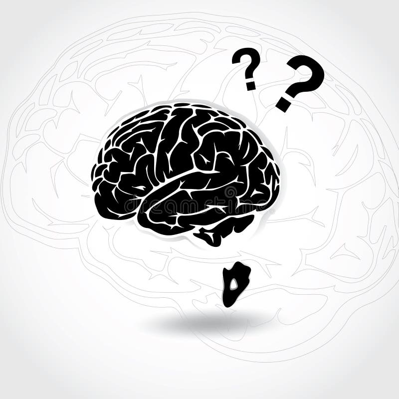 Brain Q stock vector. Illustration of cerebellum, brain - 34252176