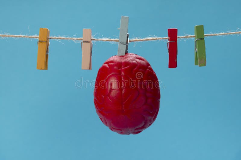 The Brain of Red Color is Dried on a Clothesline, on a Clothespin. Dry ...
