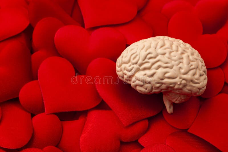 Brain Representing Analytical Thinking on Top of Hearts Conceptual ...