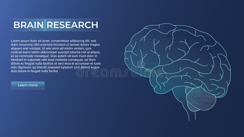 Brain Research Concept. Vector Linear Abstract Illustration of a Brain ...