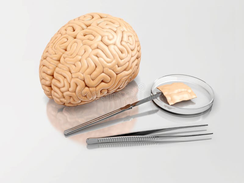 Brain research process. stock photo. Image of instruments - 188972968
