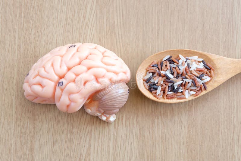 Brain and rice stock image. Image of grain, bowl, oriental - 54570093