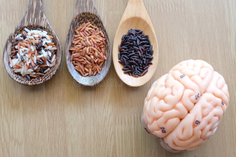 246 Cereal Brain Stock Photos - Free & Royalty-Free Stock Photos from ...