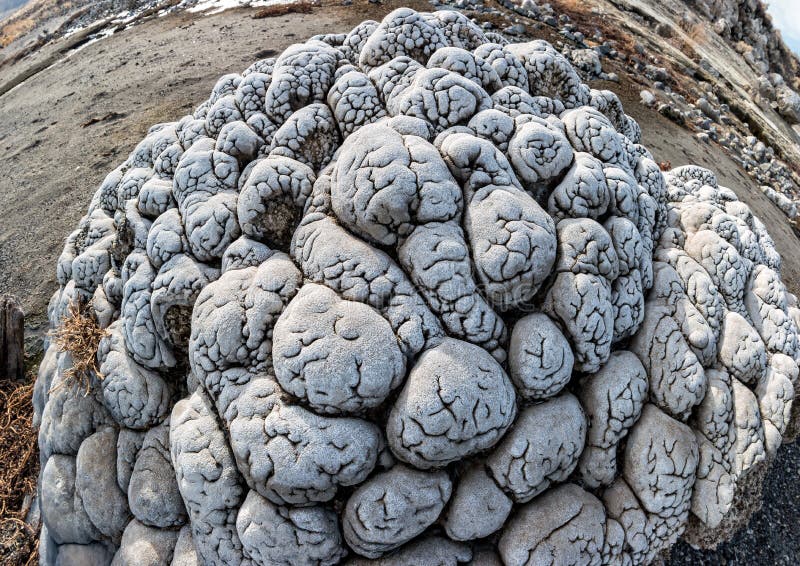 The Brain, a Rock Formation at White Pocket, Coyote Buttes South CBS ...