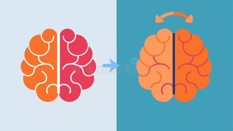 A before and after Brain Scan of an Individual Showing Increased Neural ...