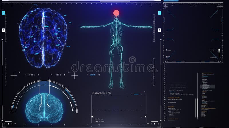 Brain Scan Screen Animation. Screen with Various Parameters Measured ...