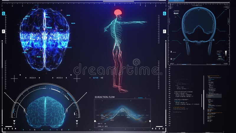 Brain Scan Screen Animation. Screen with Various Parameters Measured ...