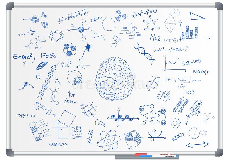 Brain science chalkboard stock vector. Illustration of chart - 68287976