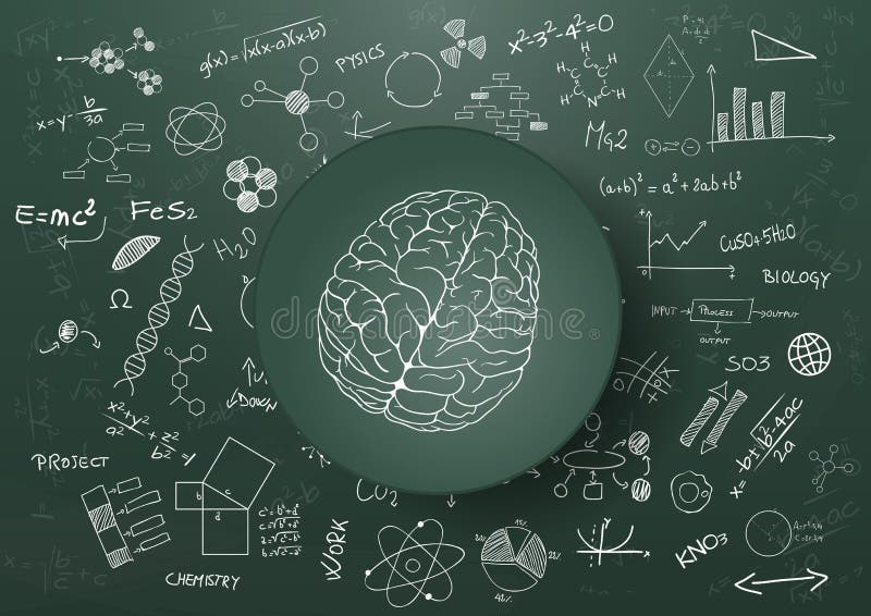 Brain science chalkboard stock vector. Illustration of molecule - 73826318