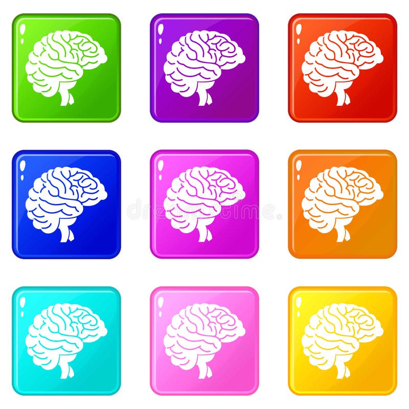 Brain set 9 stock vector. Illustration of smart, brainstorm - 96575575