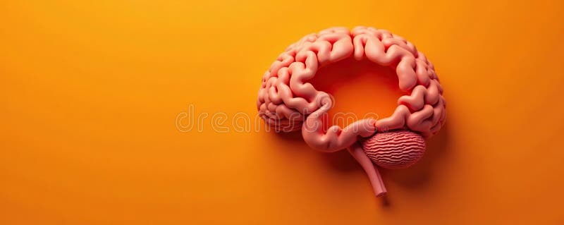 Brain Shape with Empty Space on Orange Background Memory Problems ...