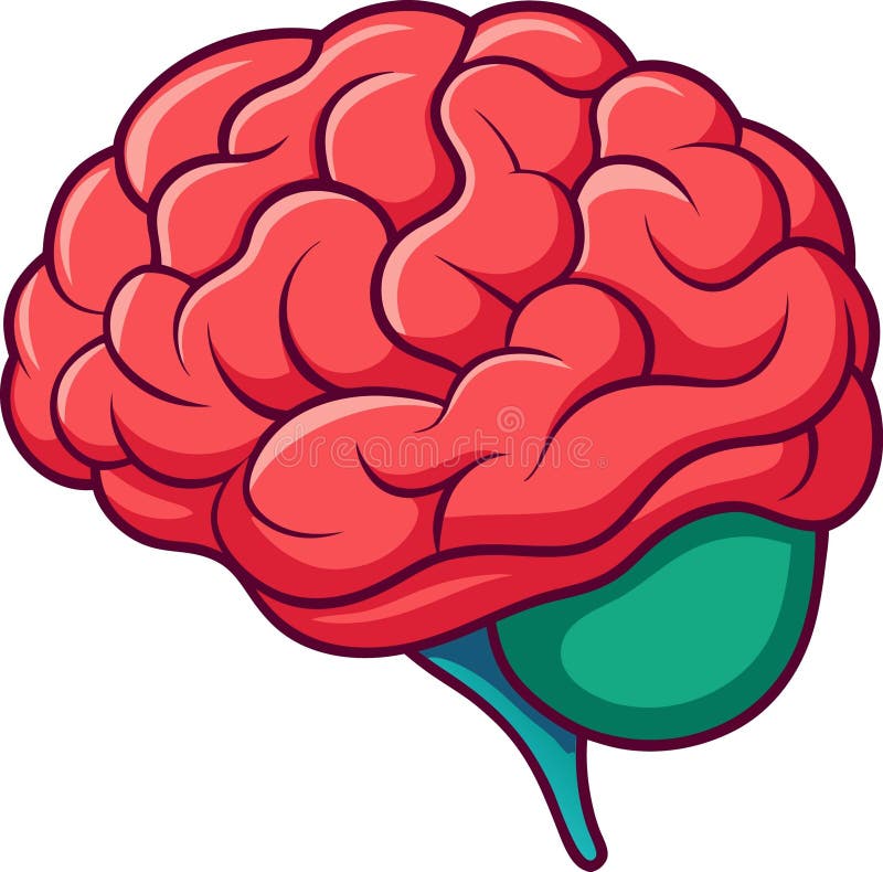 Brain side view stock vector. Illustration of view, head - 340130559