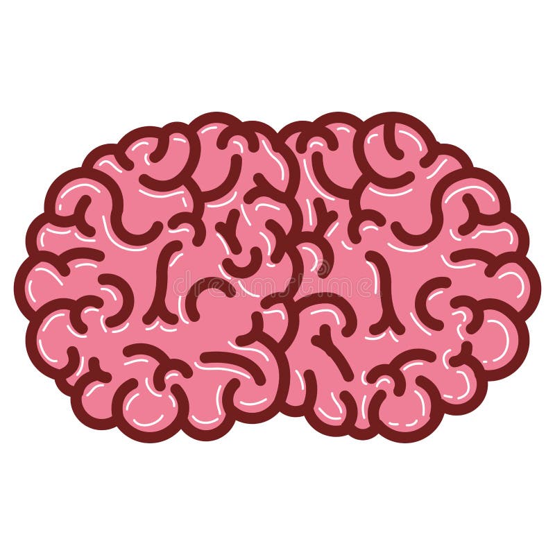 Brain Side View in Colorful Silhouette with Thick Brown Contour Stock ...