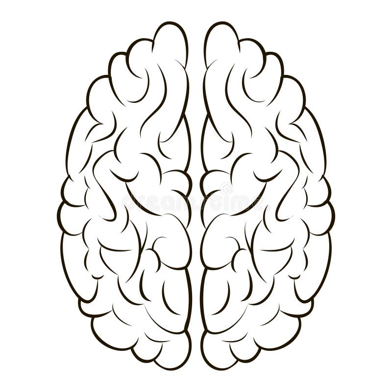 Brain Sign Icon Gyrus, Vector Right and Left Brain, Concept of Mind ...