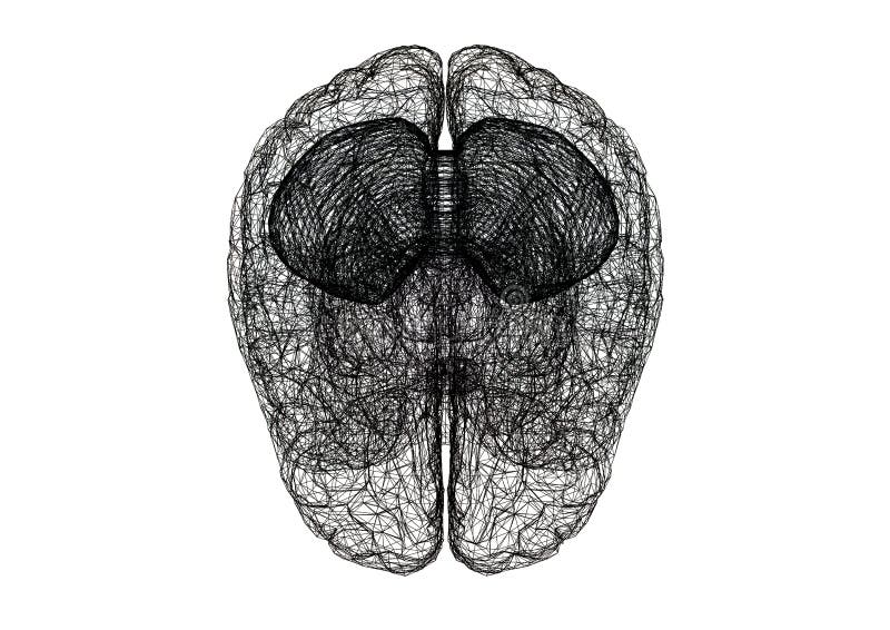 Brain Sketch – Blueprint - Isolated Stock Illustration - Illustration ...