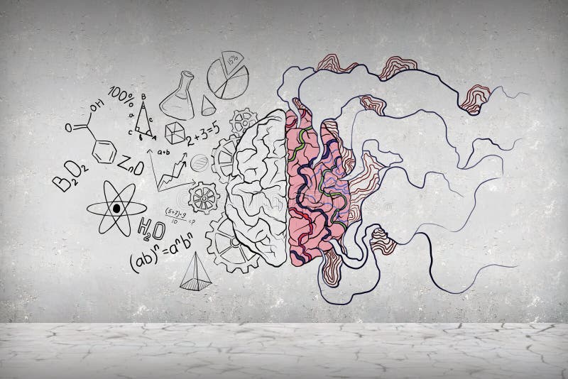 Half Brain Sketch Stock Illustrations – 88 Half Brain Sketch Stock ...