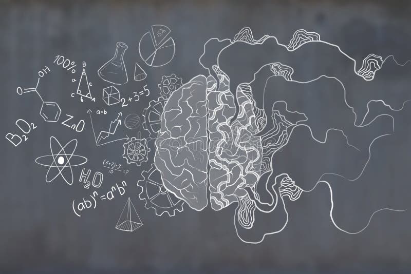 Half Brain Sketch Stock Illustrations – 88 Half Brain Sketch Stock ...