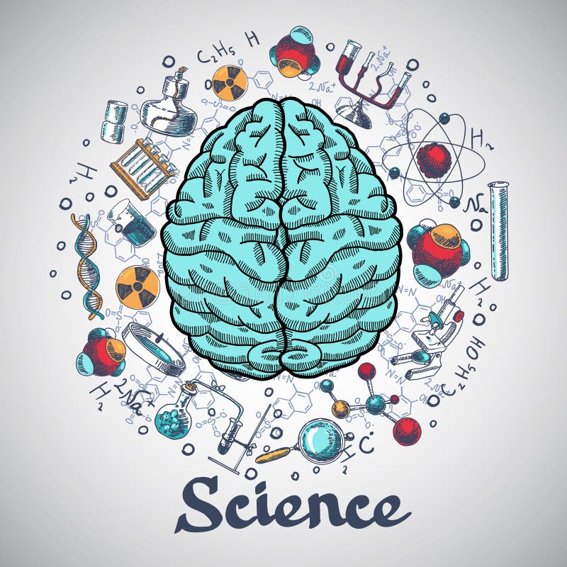 Brain Sketch Science Concept Stock Vector - Illustration of medical ...