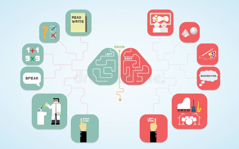 Brain skill stock illustration. Illustration of business - 48147173