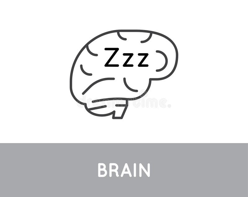 Brain in Sleep Icon. Vector Stock Vector - Illustration of computer ...
