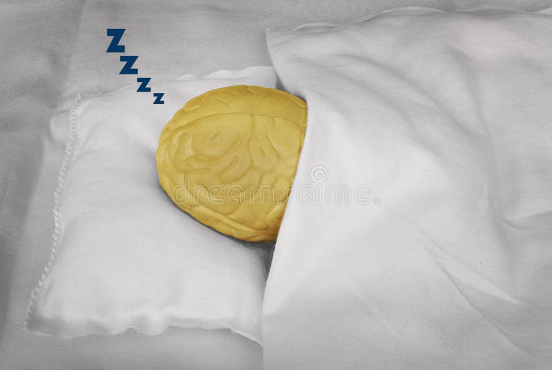 Brain sleeping stock photo. Image of relax, sleep, snooze - 16415942