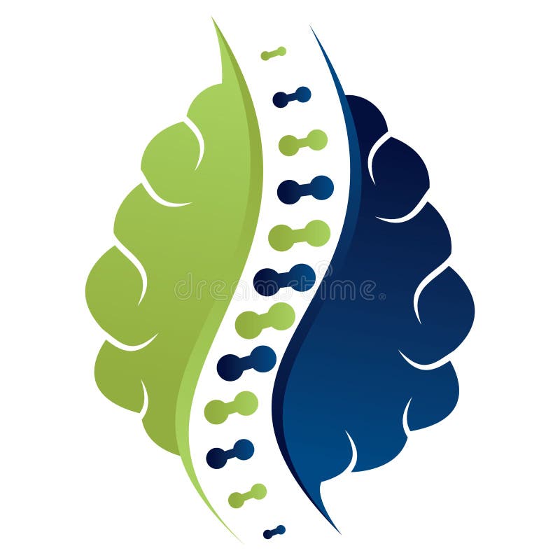 Brain and Spinal Column Logo Stock Vector - Illustration of human ...