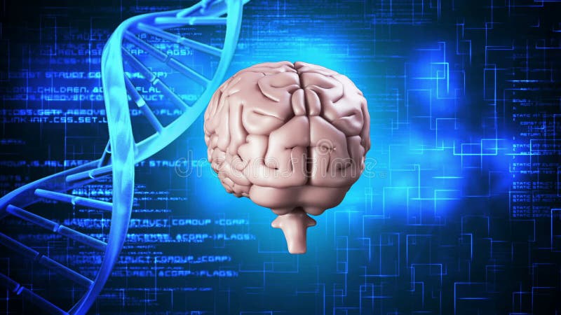 Digital Animation Of A Brain And DNA Helix Stock Footage - Video of ...