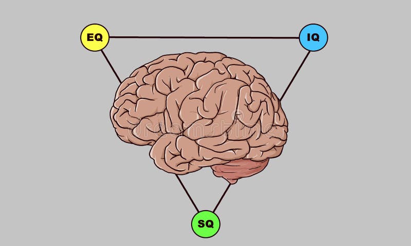 Eq Iq Stock Illustrations – 48 Eq Iq Stock Illustrations, Vectors ...
