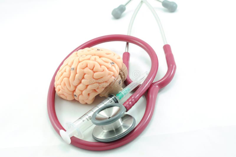 Brain and stethoscope stock image. Image of intestine - 19782227