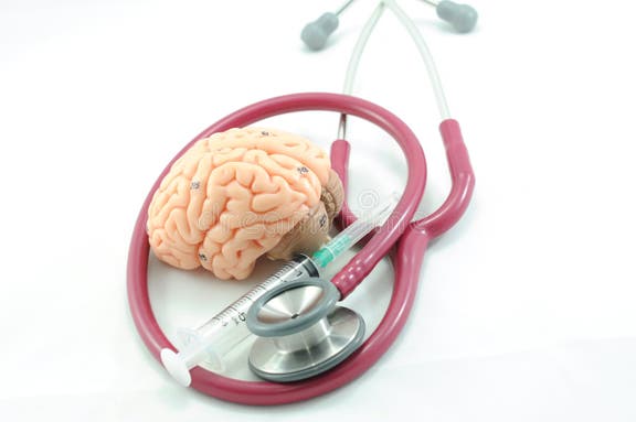 Brain and stethoscope stock image. Image of intestine - 19782227
