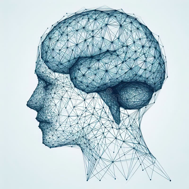 Brain Structure Made of Network Lines Stock Illustration - Illustration ...
