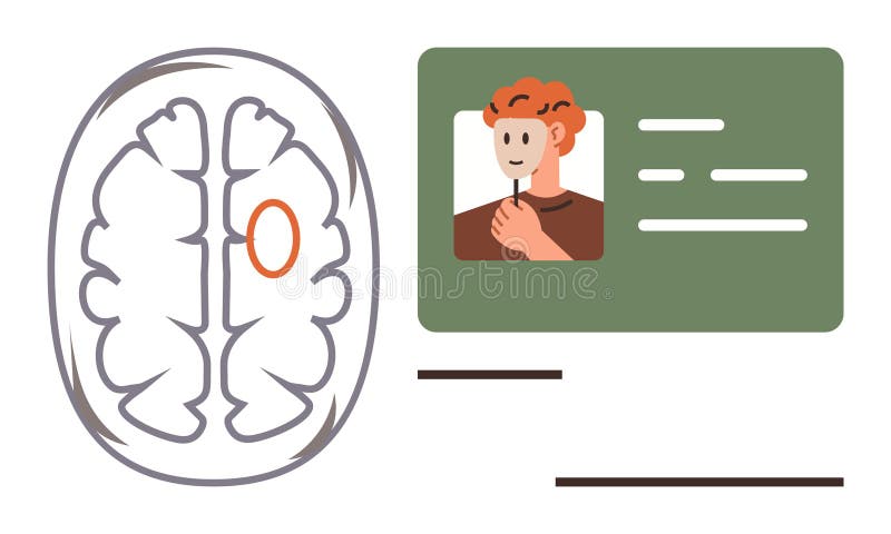 Brain Structure Study Alongside Personal Identification Card Concept ...