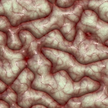 Brain surface and texture stock illustration. Illustration of medicine ...