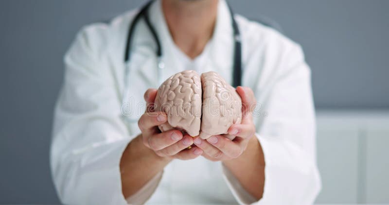 Brain Surgeon or Neurologist Doctor Explaining Stock Image - Image of ...