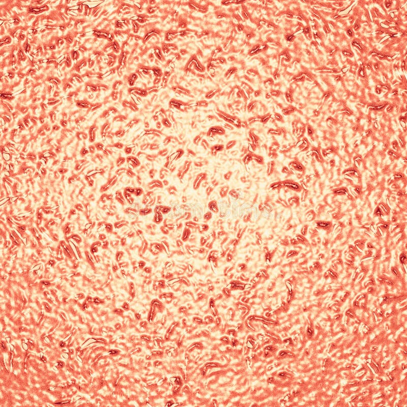 Red Neuronal Stock Photos - Free & Royalty-Free Stock Photos from ...